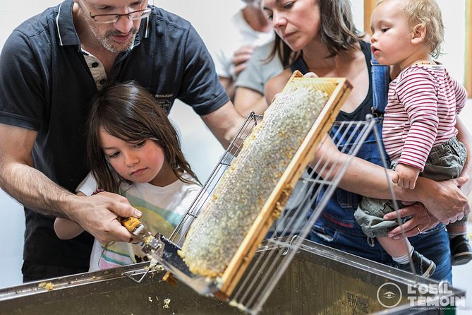Visit - Immersion in the Heart of the Bee World! - What to Expect During the Private Tour