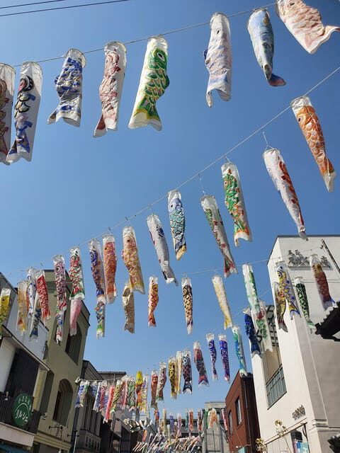Visit Kawagoe, the little Edo ! 45min away from Tokyo! - How This Tour Compares