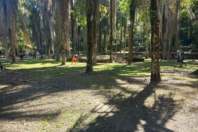 Visit Kohunlich with the option of Professional Native Guides - Transportation and Timing: How It Works for You