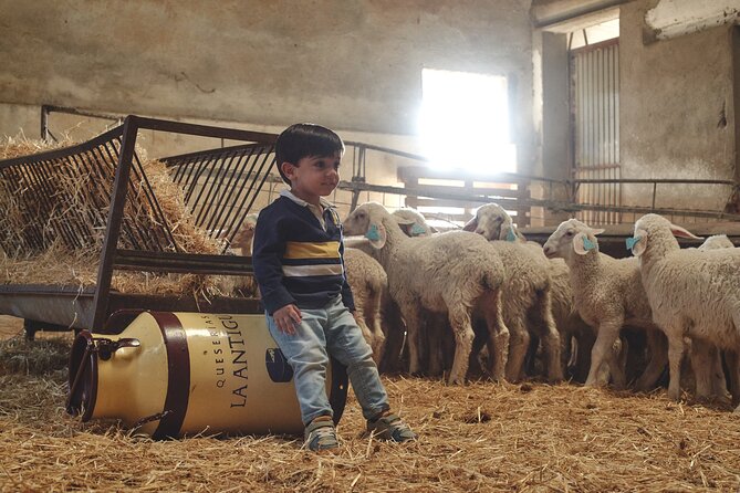 Visit La Antigua Cheese Factory (Cheese Tourism) - What to Expect During the Tour