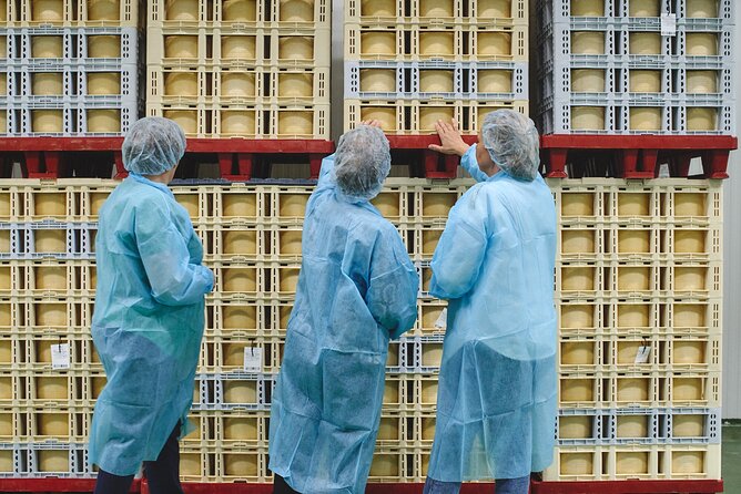 Visit La Antigua Cheese Factory (Cheese Tourism) - Cancellation Policy