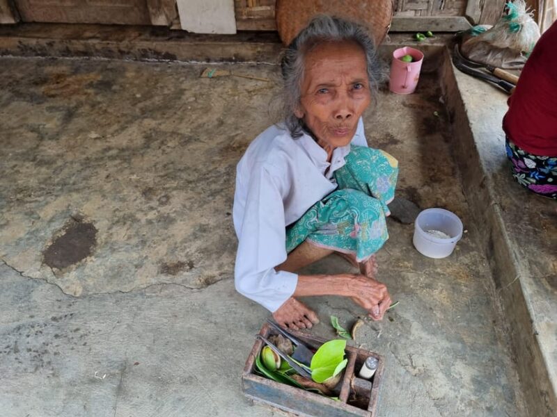 Visit Lombok Sasak Tribe Village, Waterfall And Selong Hill - Final Thoughts: Who Will Love This Tour?