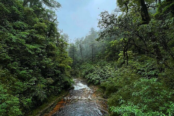 Visit Love Waterfall & Luscious Nature trek with fantastic views - What We Think: The Value and Authenticity