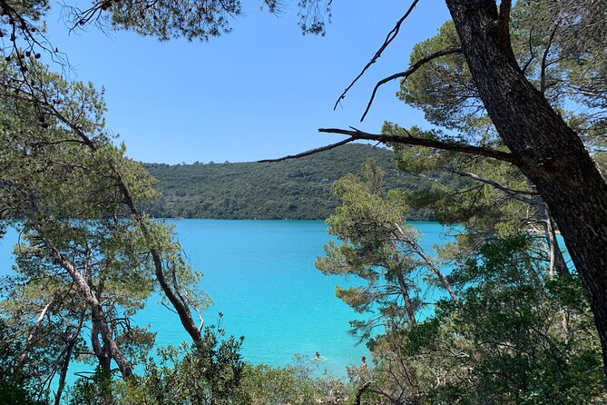 Visit magical Mljet Island with private speedboat - Who Is This Tour Best For?