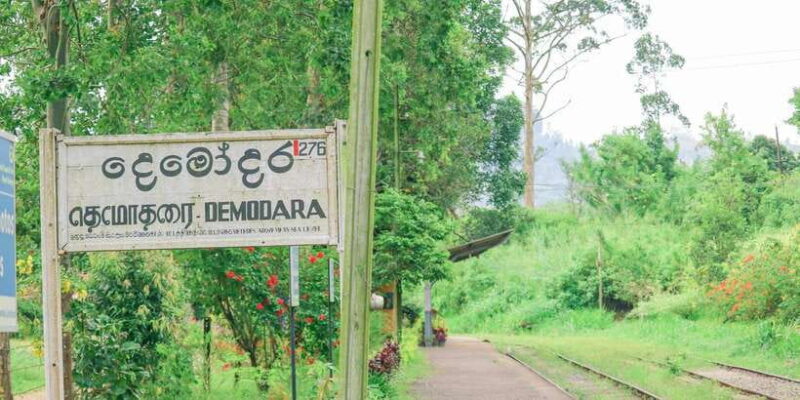 Visit nine arch bridge,ravana & diyaluma falls,safari - Who This Tour Is Best For