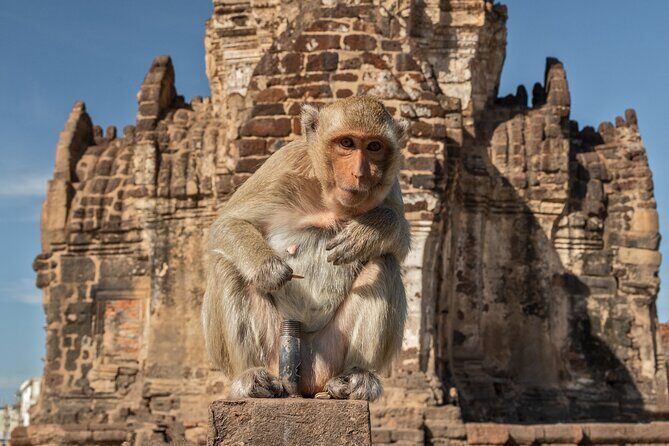 Visit of Lopburi, the monkey's city, from Bangkok with your English-speaking guide - Who Should Consider This Tour?