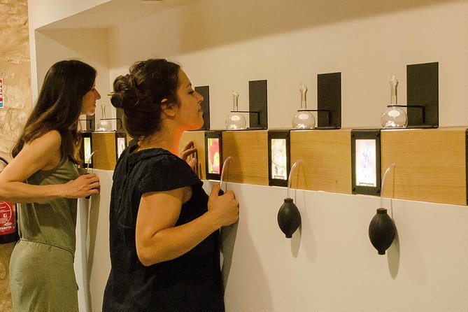 Visit of the Artemisia museum - The Sum Up