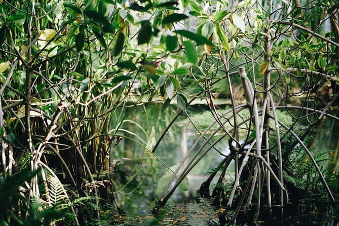 Visit of the fisher man village of Home Krateng from Bangkok with your private English-speaking guide - An In-Depth Look at the Tour Experience