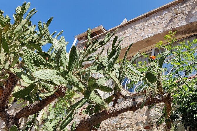 Visit of the Medieval Village of Èze - Pricing and Value