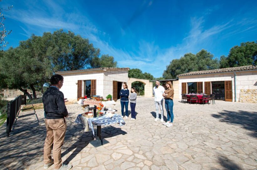 Visit of the olive grove, olive oil tasting and snack - Key Points