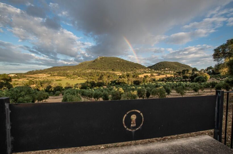Visit of the olive grove, olive oil tasting and snack - Why Youll Love This Tour