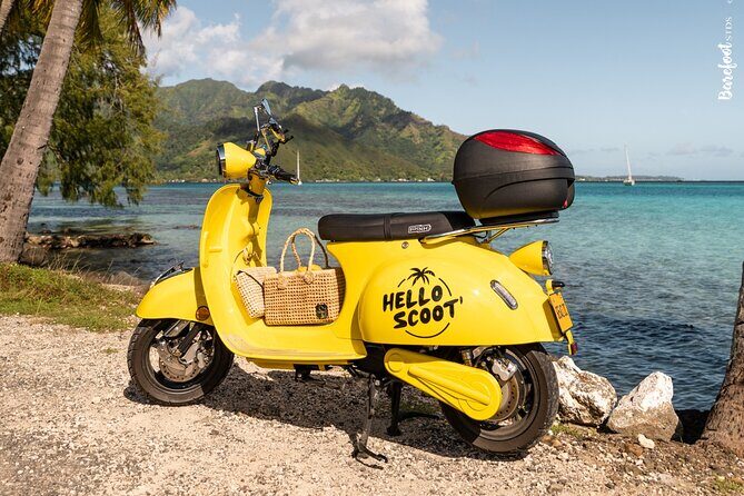 Visit of the Tahiti and her Islands Museum with a local guide. - Frequently Asked Questions