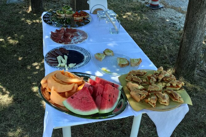 Visit of the Winemaker with Tasting of Typical Products in Faenza - Weather and Cancellation Policies