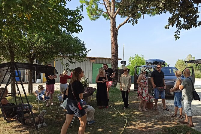 Visit of the Winemaker with Tasting of Typical Products in Faenza - Who Will Appreciate This Tour?