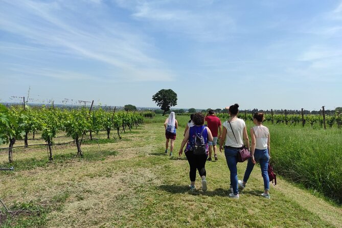Visit of the Winemaker with Tasting of Typical Products in Faenza - FAQ