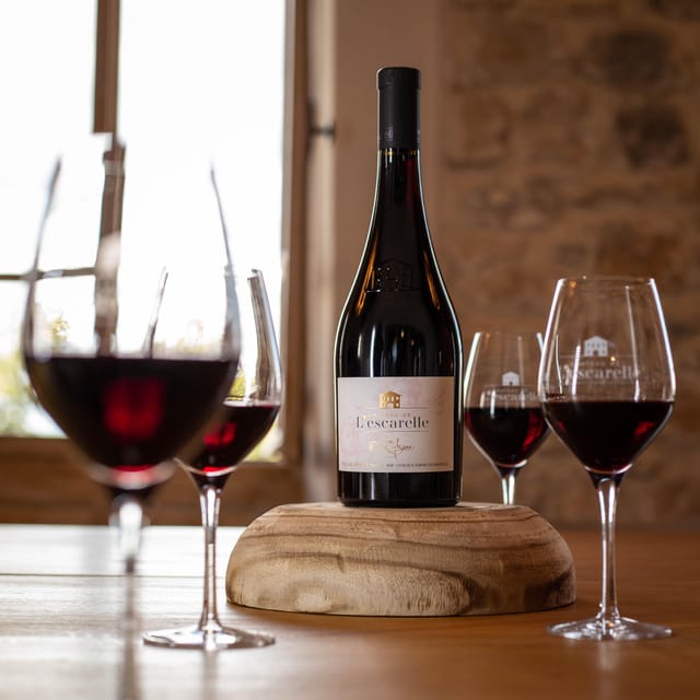 Visit One of Provences Most Modern Wineries at Lescarelle! - Key Points