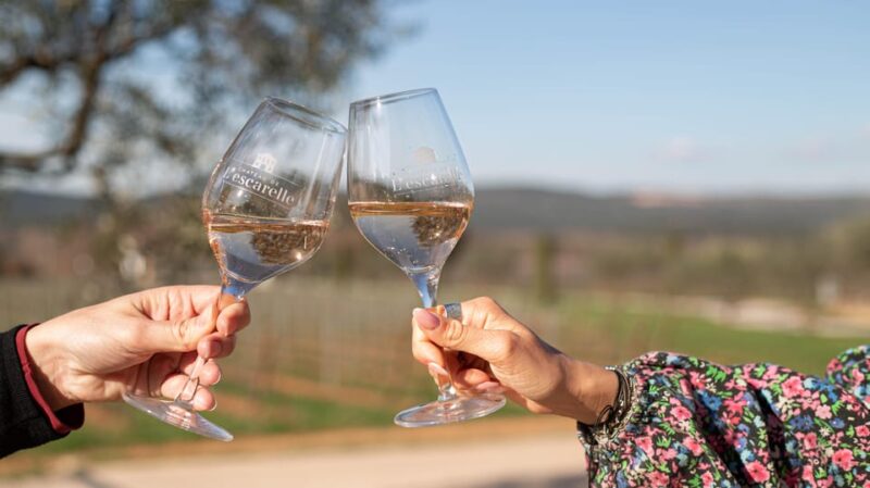 Visit One of Provences Most Modern Wineries at Lescarelle! - Wine Tasting Experience at Château Lescarelle