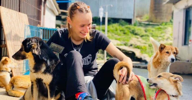 Visit our Non-profit animal sanctuary in Kathmandu! - Key Points