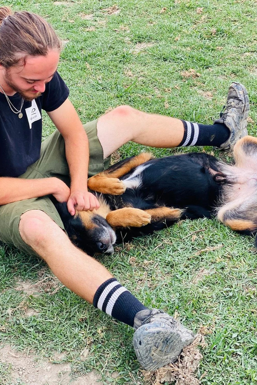 Visit our Non-profit animal sanctuary in Kathmandu! - The Practicalities and Value