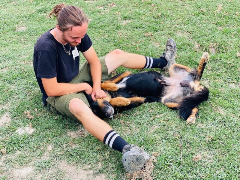 Visit our Non-profit animal sanctuary in Kathmandu! - The Sum Up: Why Choose This Tour?