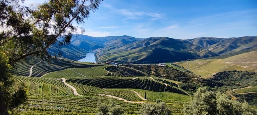 Visit Pinhão Visit and wine tasting Panoramic cruise - The Authentic Touch: Why This Tour Resonates