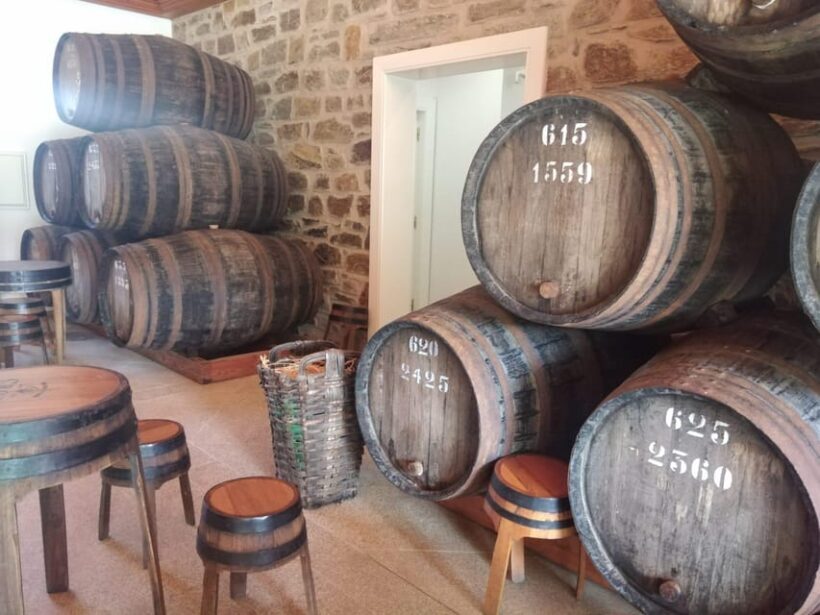 Visit Pinhão Visit and wine tasting Panoramic cruise - Who Will Love This Tour?