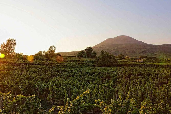 Visit Pompeii and Sorrento - The Sum Up