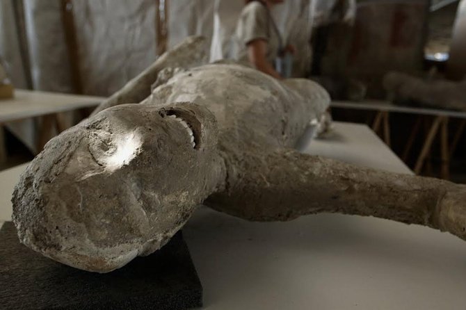 Visit Pompeii Sorrento Positano - Discovering the Charm of Sorrento