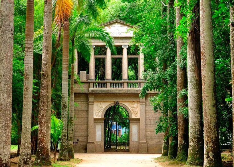 Visit Rios Botanical Garden: Nature, History, and Wildlife - An In-Depth Look at Rio’s Botanical Garden Experience