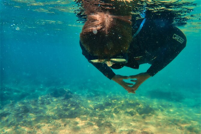 Visit Secret Caves, Hidden Beaches and Snorkel in Alvor, Portugal - Meeting Point and Tour Schedule