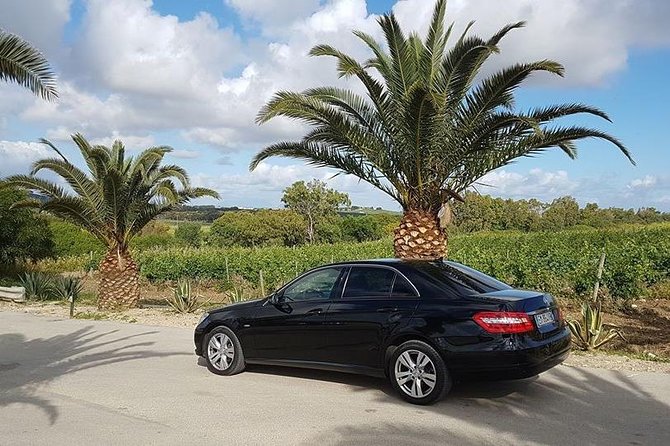 Visit Segesta and Selinunte from Trapani - Frequently Asked Questions