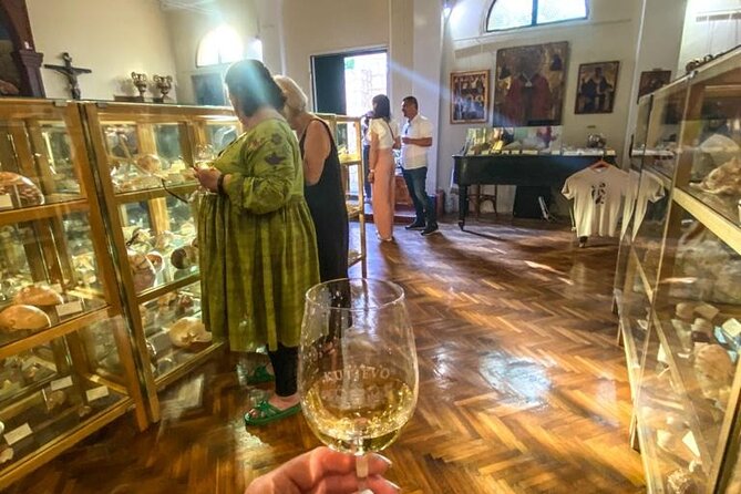 Visit Shell Museum Cavtat - Visitor Experience and Highlights