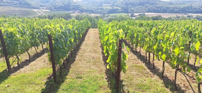 Visit Siena and San Gimignano with lunch at a family farm - Why This Tour Stands Out