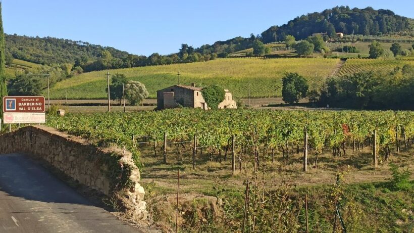 Visit Siena and San Gimignano with lunch at a family farm - What to Expect in Terms of Logistics and Comfort