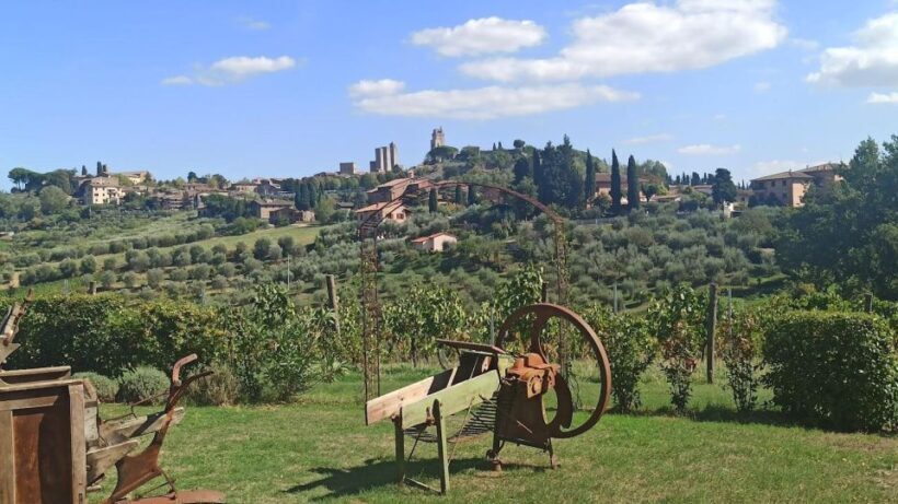 Visit Siena and San Gimignano with lunch at a family farm - Final Thoughts