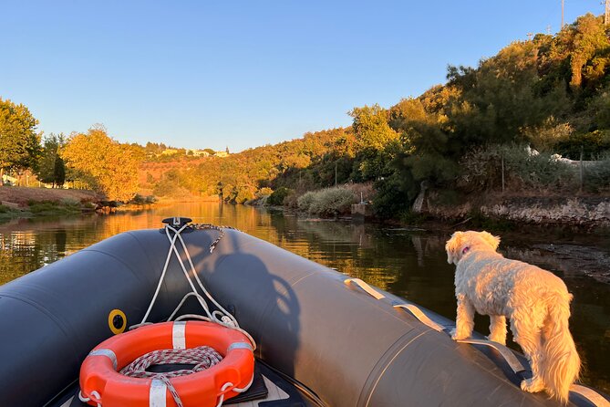 Visit Silves Medieval Town by Boat with Hop-Off Hop-On - The Sum Up