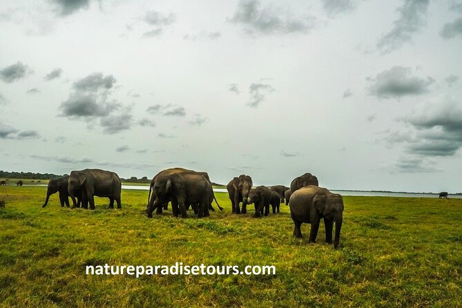 Visit sri Lanka 7 Days Round Trip - Authenticity and Cultural Encounters