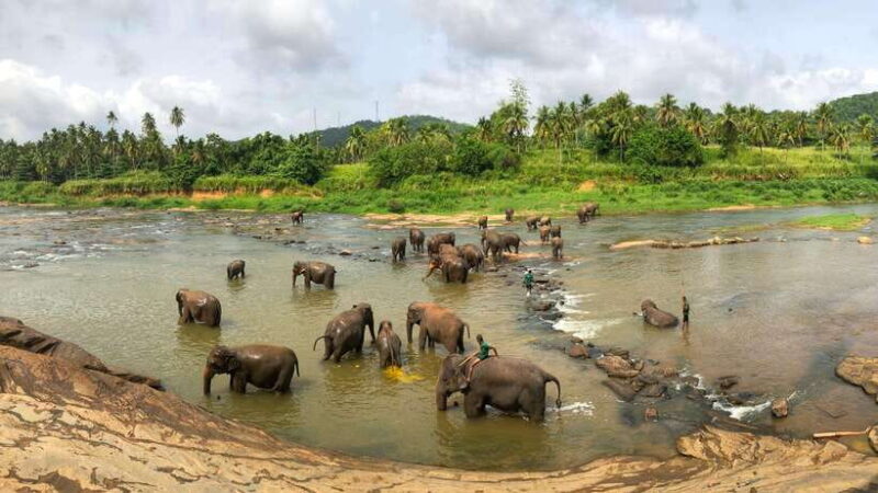 Visit sri Lanka 7 Days Round Trip - FAQs