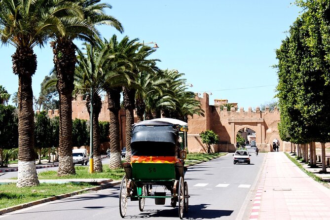 Visit Taroudant and Tiout 1 day From Agadir - Authenticity and Local Experiences: What Travelers Say