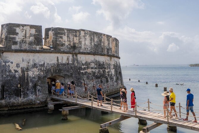 Visit The 5 Best Places In Islas Del Rosario & Baru By Sport Boat - Snorkeling Through the Underwater Wonders