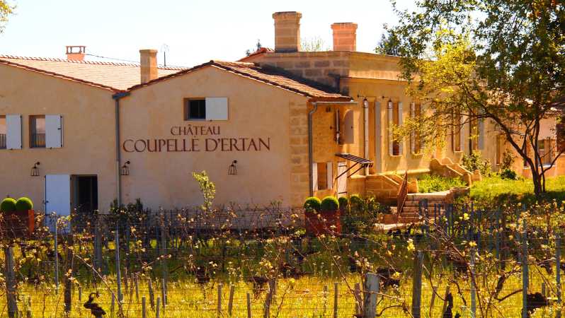 Visit the Artisanal Vinegar Factory of Château Coupelle Dertan - Savoring the Range of Red Wine Vinegars