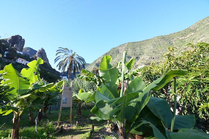 Visit the Ethnographic Park of La Gomera - Authenticity and Traveler Ratings