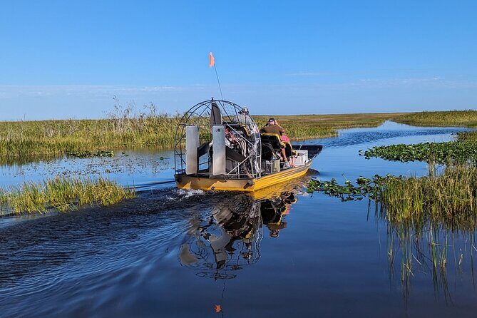 Visit the Everglades in French with Transfer and 1h30 Airboat - Key Points