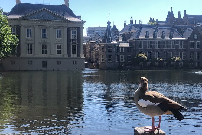 Visit the Girl With the Pearl Earring, the Hague & Delft City - Accessibility and Additional Information