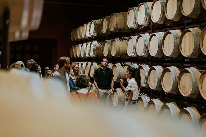 Visit the Hidden Jewel of the Ribera Del Duero Winery - Discovering the Winerys Unique Location