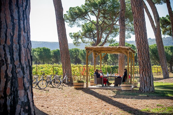 Visit the Hidden Jewel of the Ribera Del Duero Winery - Booking and Reservations