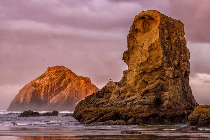 Visit the Oregon Coast from Willamette Valley - An In-Depth Look at the Tour