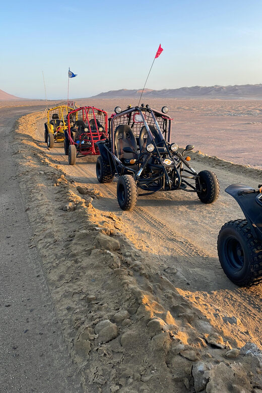 VISIT THE PARACAS NATIONAL RESERVE IN A MINIBUGGY - Key Points