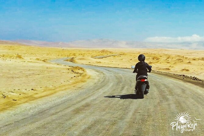 Visit the Paracas National Reserve on a SCOOTER - Practical Information for Your Visit