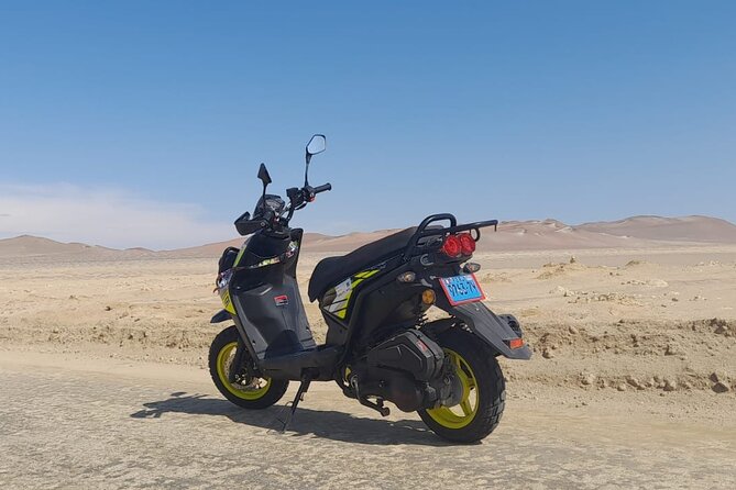 Visit the Paracas National Reserve on a SCOOTER - Paracas National Reserves Unique Ecosystem